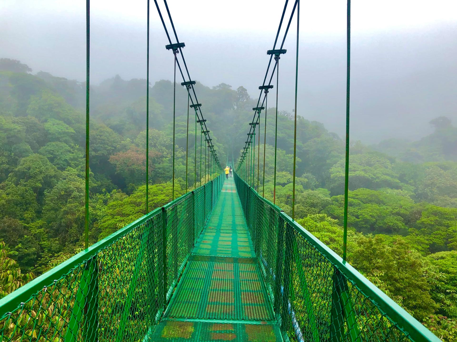 Visitez la réserve biologique de la forêt de nuages de Monteverde ...